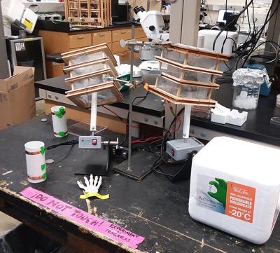 Big things from little worms | News | videtteonline.com