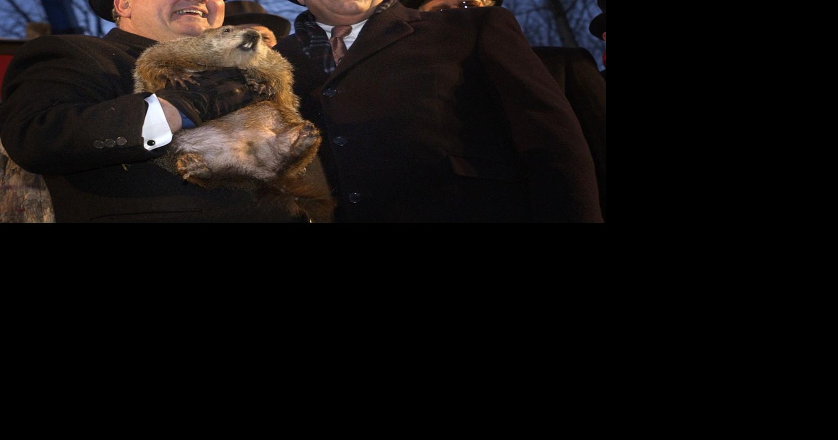 Fun facts about Groundhog Day | Features | videtteonline.com