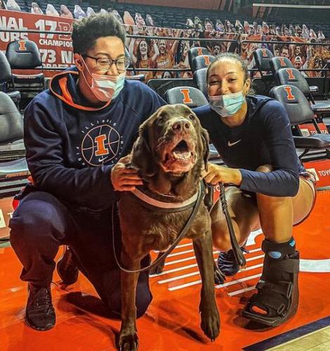 UIUC, ISU welcome two therapy dogs to UIUC PD | Features ...