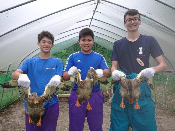 Japanese Language and Culture Club VP uses childhood experience to ...