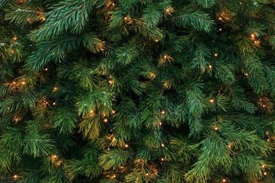 City of Bloomington to host virtual tree lighting ceremony | Features ...