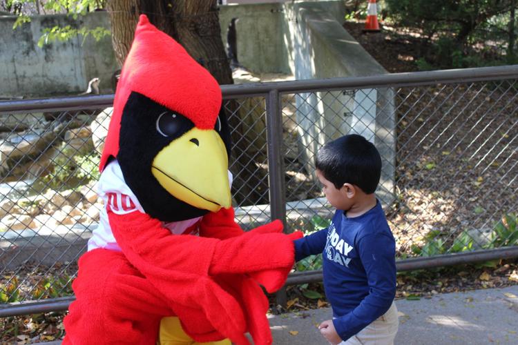 Gallery: Reggie kicks off Homecoming week at Miller zoo | Multimedia ...