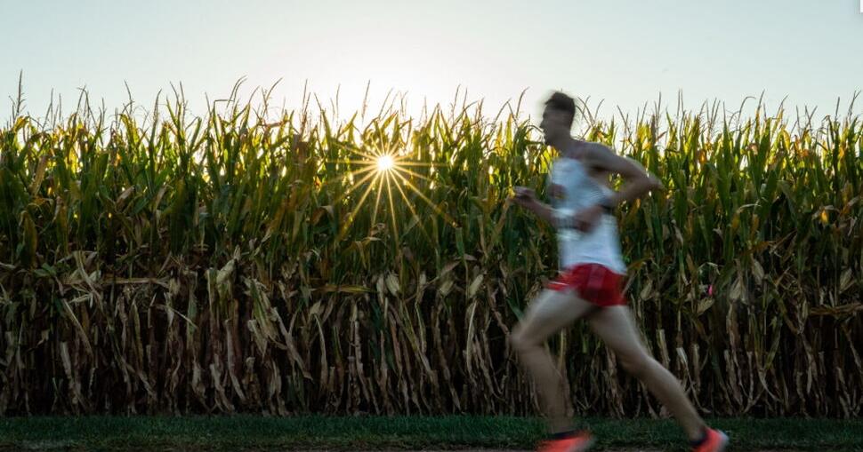 Alex Gant's award-winning photographs | | videtteonline.com