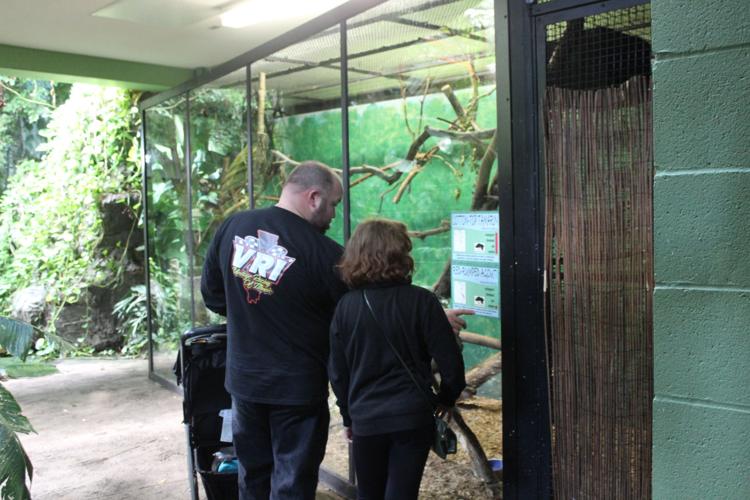 Gallery: Reggie kicks off Homecoming week at Miller zoo | Multimedia ...