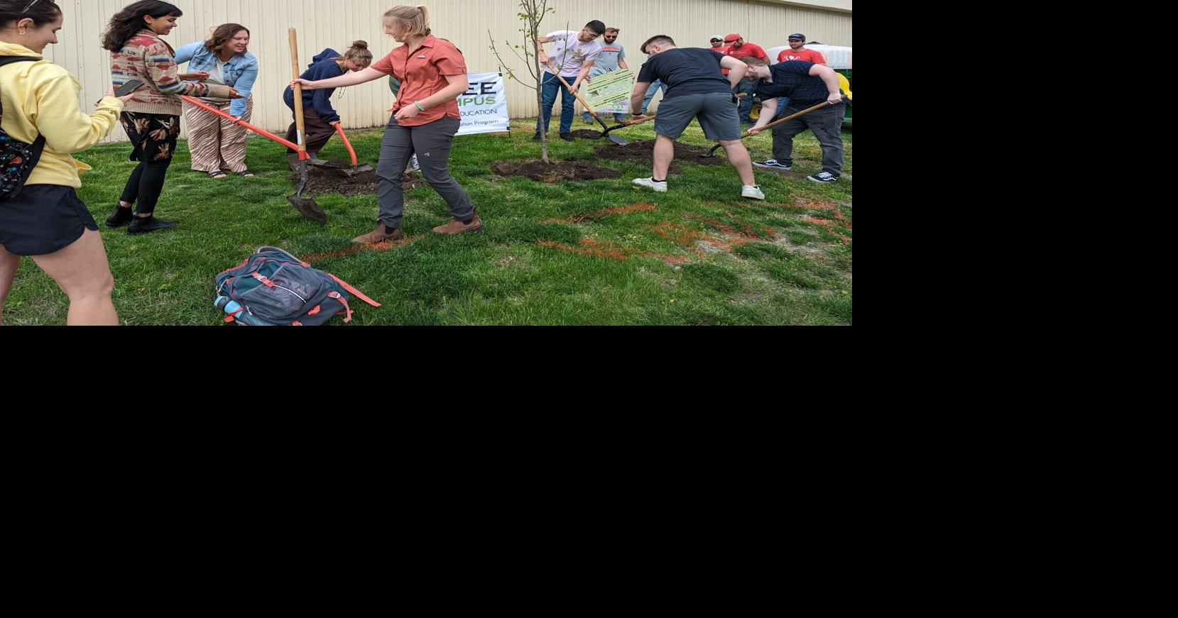 ISU plants trees across campus to celebrate Arbor Day | Features ...