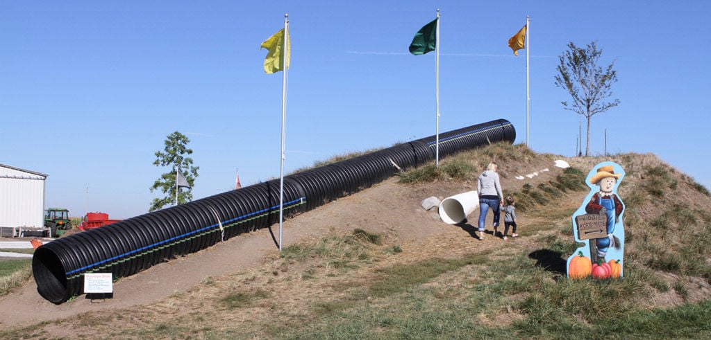 Rader Family Farms opens its doors for the fall | News | videtteonline.com