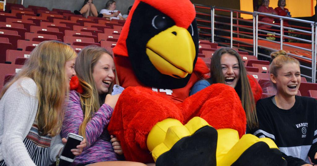 Reggie Redbird: the bird behind ISU | News | videtteonline.com