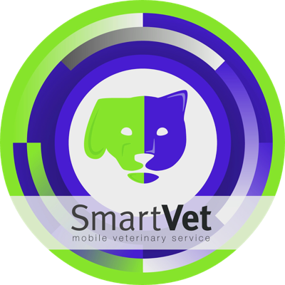 Veterinary service in Normal | Features | videtteonline.com