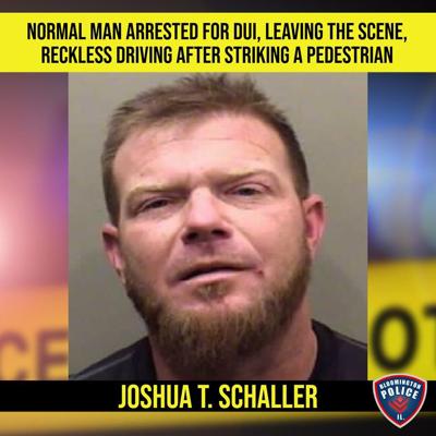 Normal man arrested after drunken hit and run attempt | News ...
