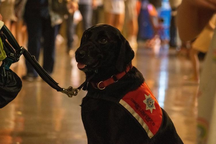 Pawfficer Sage brings smiles, trust to campus community | Features ...