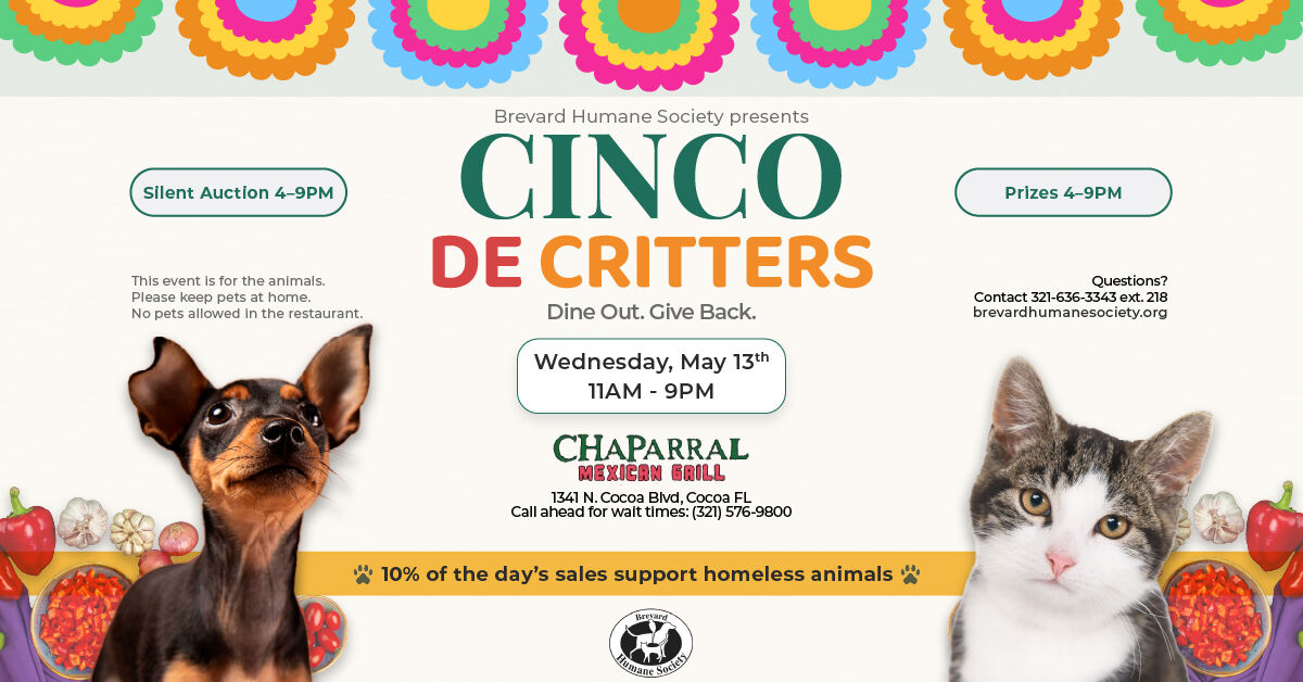 Cinco de Critters | Calendar | vieravoice.com