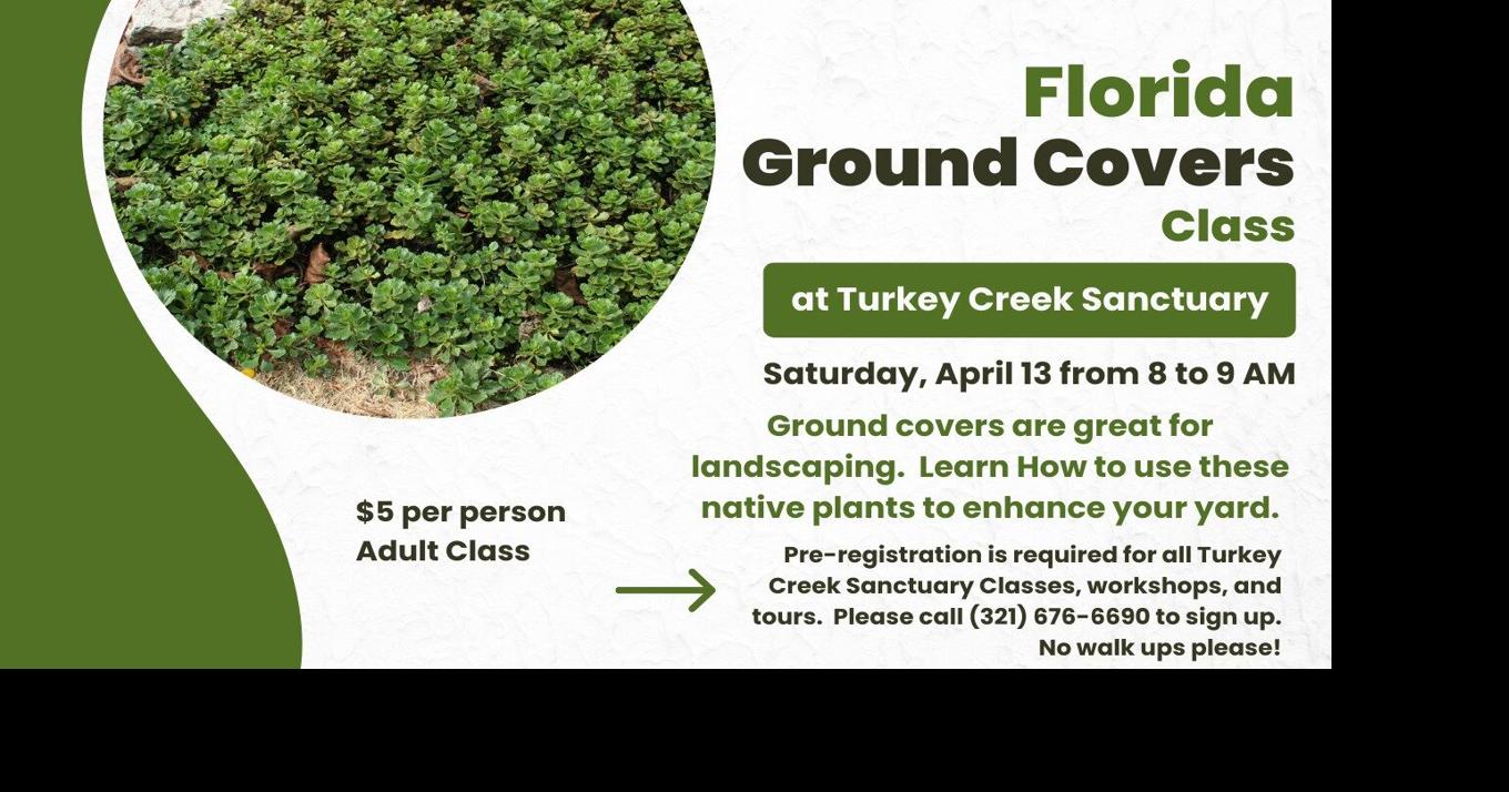 Florida Ground Covers Class | Calendar | vieravoice.com