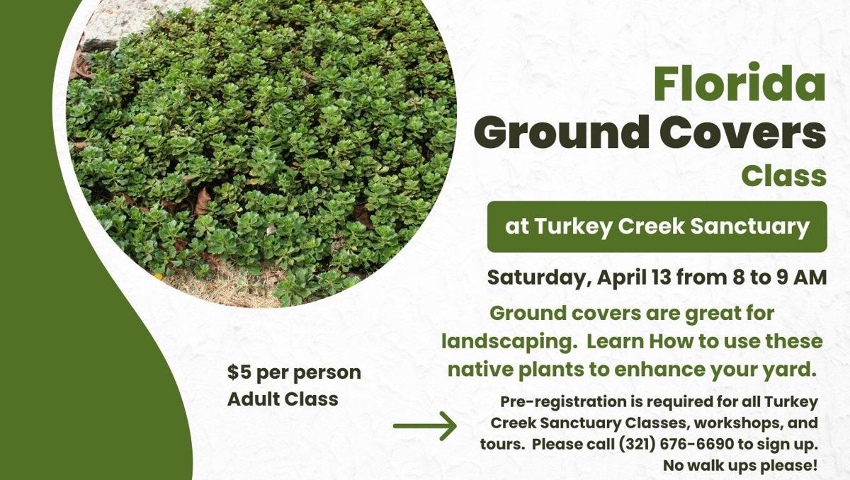 Florida Ground Covers Class | Calendar | vieravoice.com