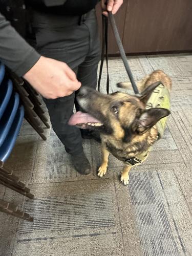 Donation made towards new K-9 for Rockledge Police Department | Viera ...