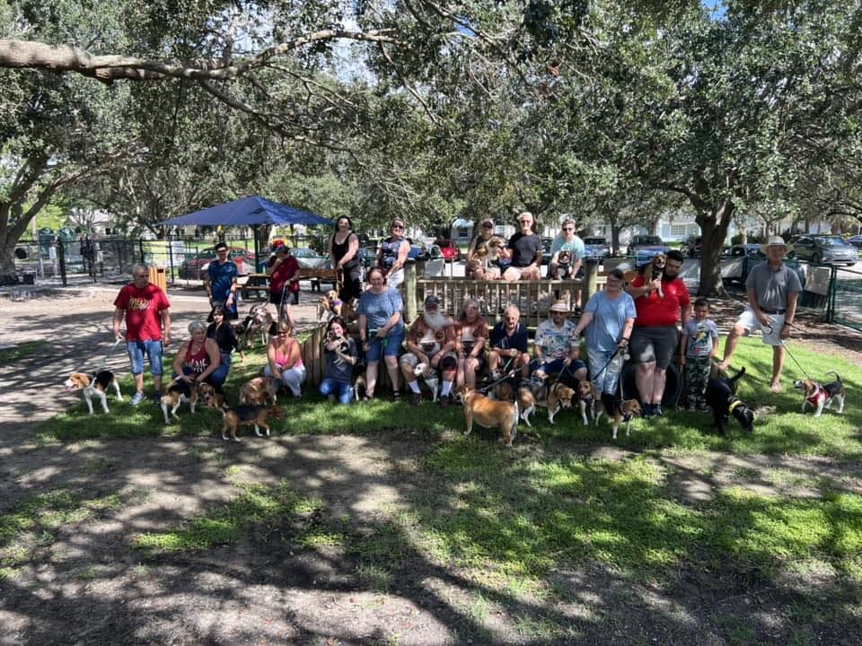 February Brevard Beagle Meet | Calendar | vieravoice.com