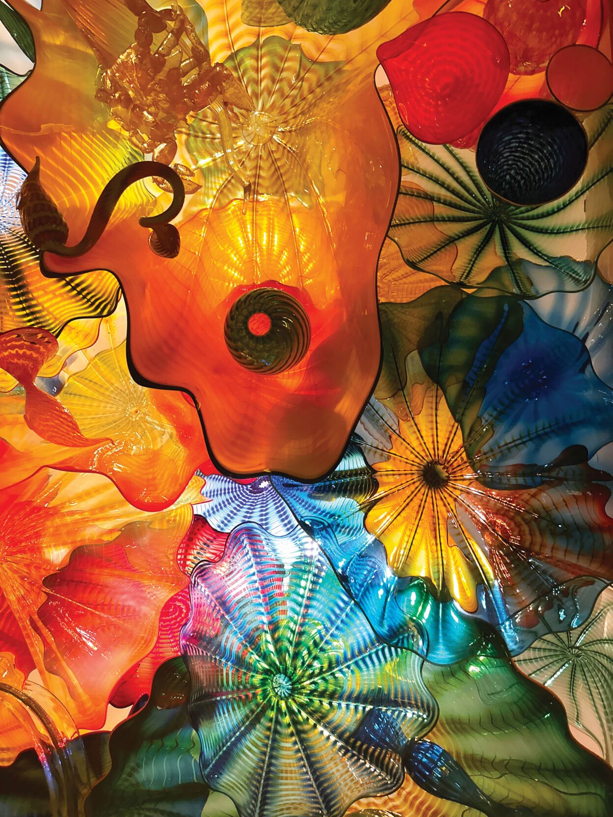 Chihuly Collection draws visitors to a dazzling display of glass art ...