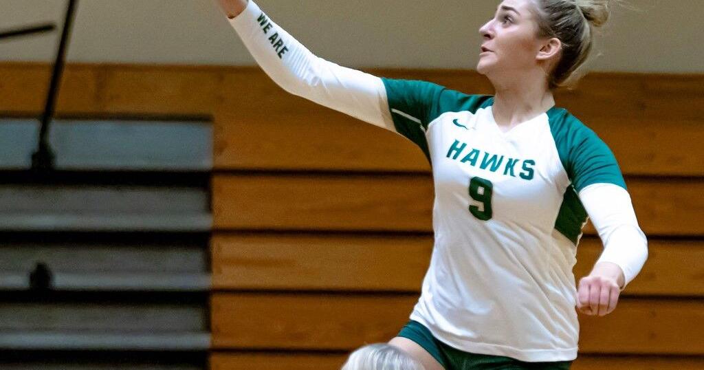 Hawks sweep Lakeland, move into regional semifinals | Viera Sports Blog ...