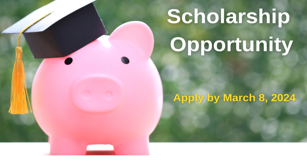 Tim Bobanic announces Florida Supervisors of Elections scholarship ...