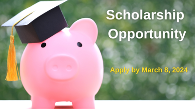 Tim Bobanic announces Florida Supervisors of Elections scholarship ...