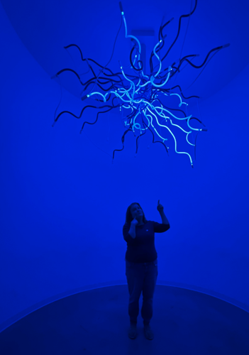 Chihuly Collection draws visitors to a dazzling display of glass art ...