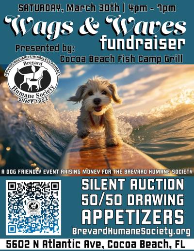 Wags & Waves | Calendar | vieravoice.com