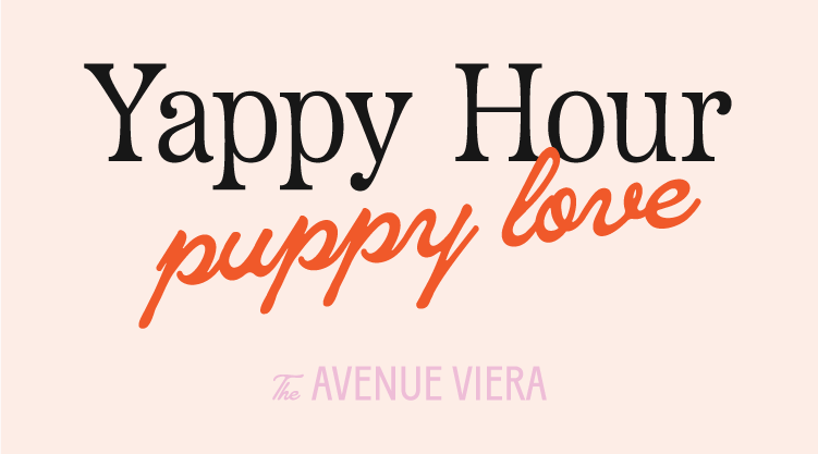 Yappy Hour: Puppy Love | Calendar | vieravoice.com