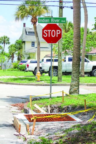 Tree boxes help prevent contaminants from reaching the Lagoon | News ...
