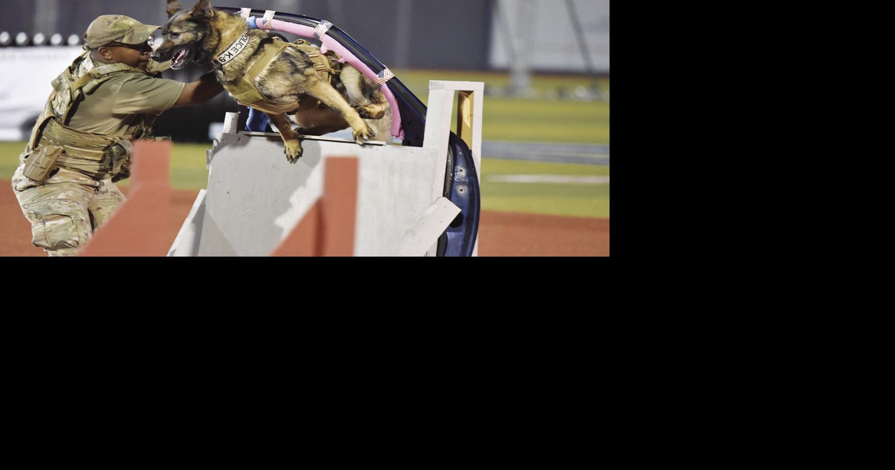 Space Coast K-9 Competition puts on quite a show | Community ...