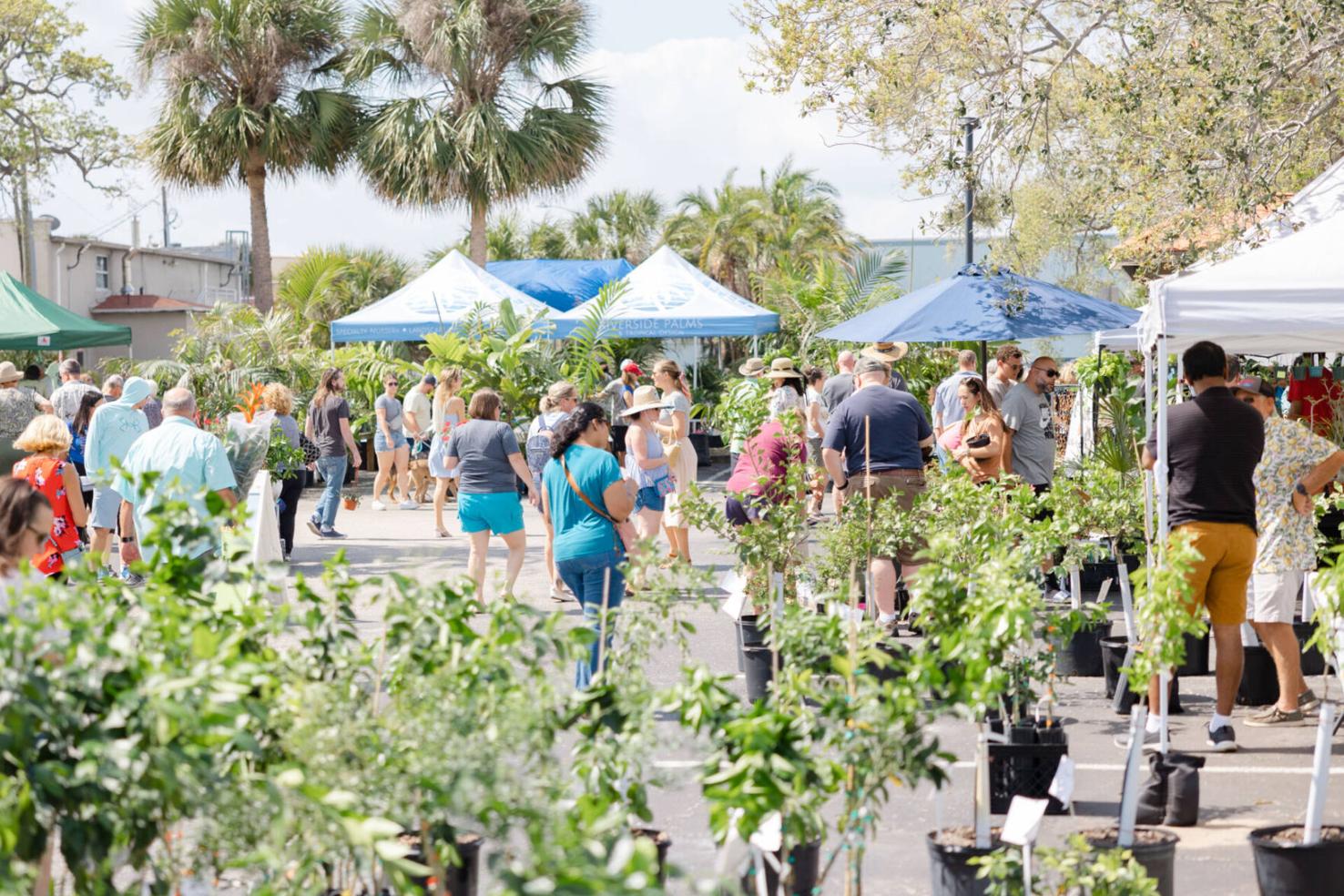 Downtown Melbourne Botanical Festival | Calendar | vieravoice.com