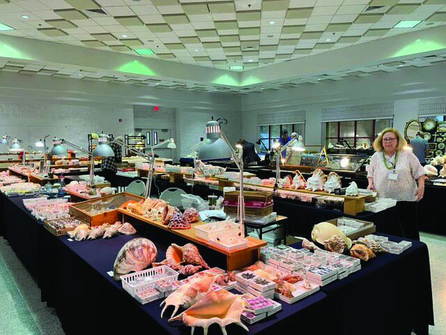 Seashell Festival brings exhibitors from Florida, across the country ...