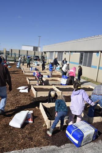 Dig Day at Quest Elementary School Community Learning Garden | Schools ...