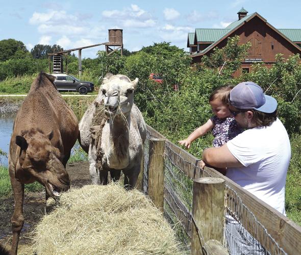 They bought a zoo— Couple marks Romelia Farms’ first year | Community ...