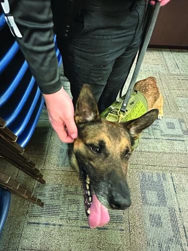 Donation made towards new K-9 for Rockledge Police Department | Viera ...