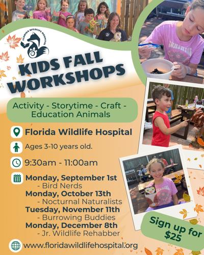 Florida Wildlife Hospital - Kids Fall Workshops | Calendar | vieravoice.com