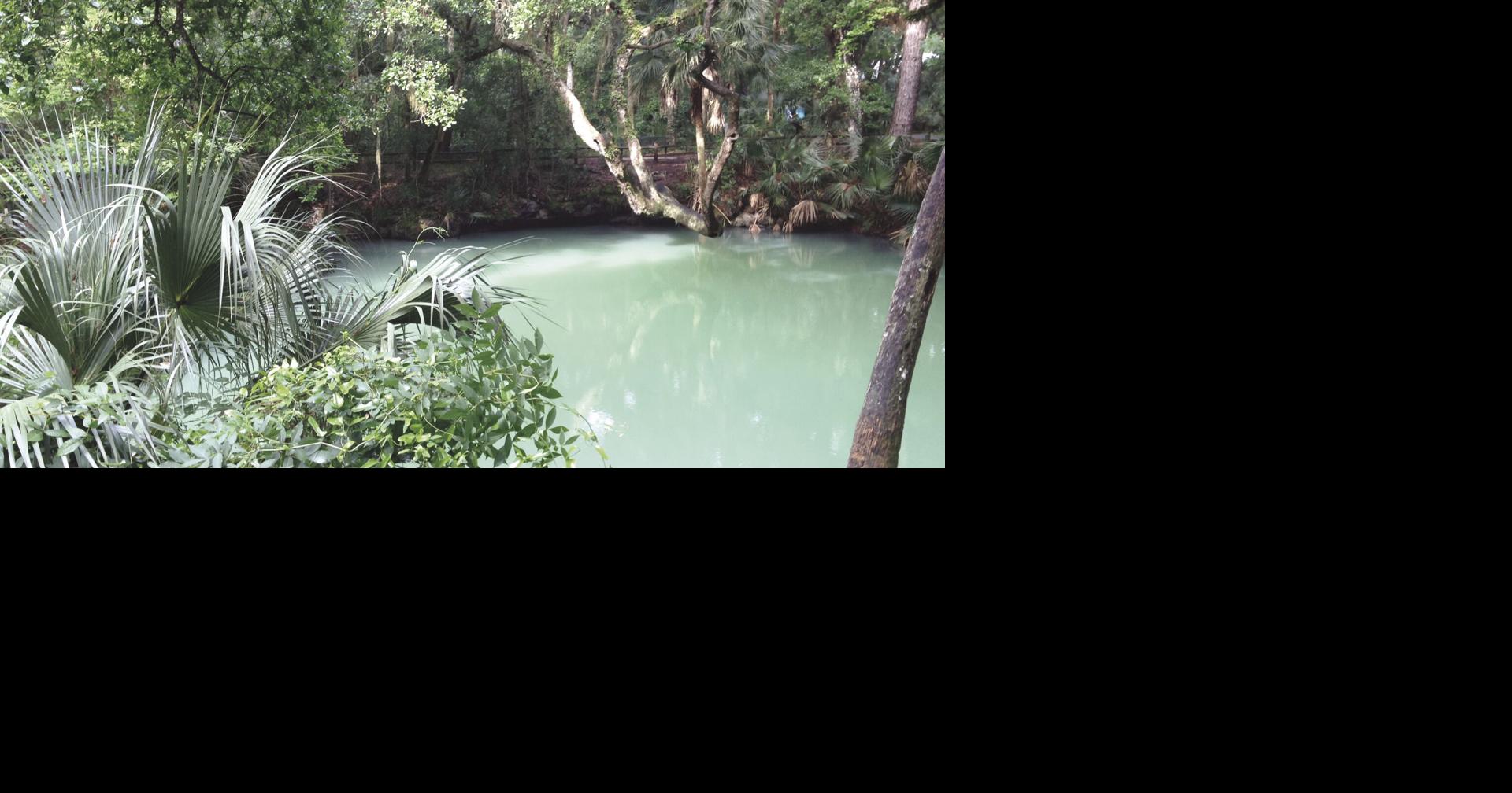 Green Springs Park is a gem for bikers, hikers, nature lovers | Senior ...