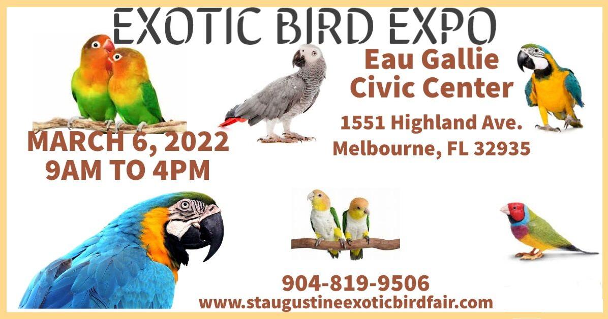 St Augustine Exotic Bird Expo in Melbourne | Calendar | vieravoice.com