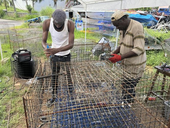 Clifton Thomas continues 40-year lobster trapping legacy | News ...