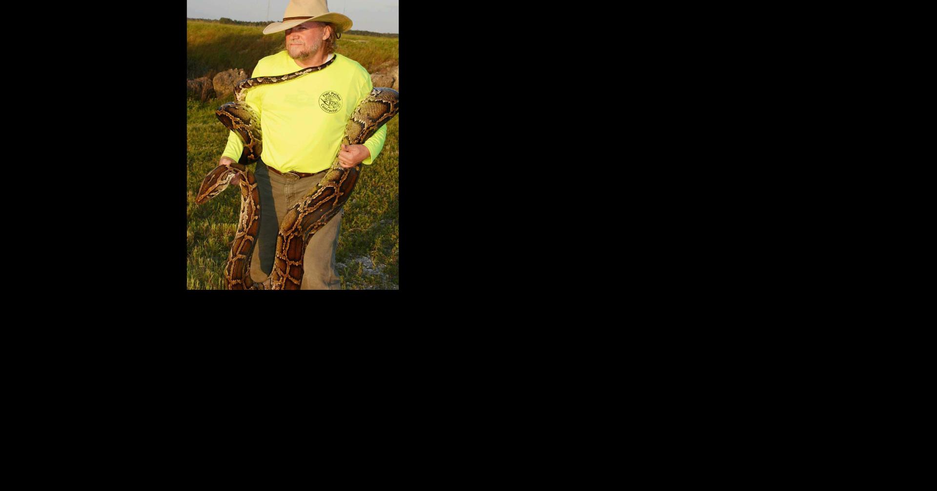 Florida needs python hunters. A man in Iran is one of thousands ...