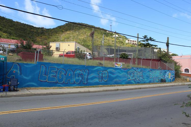 Sea Walls St. Thomas brings environmental activism to the streets ...