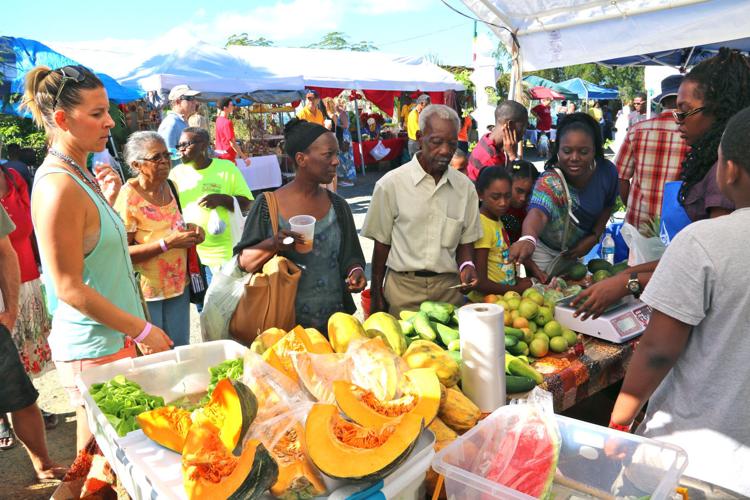 Bordeaux Rastafari fair | Local News | virginislandsdailynews.com