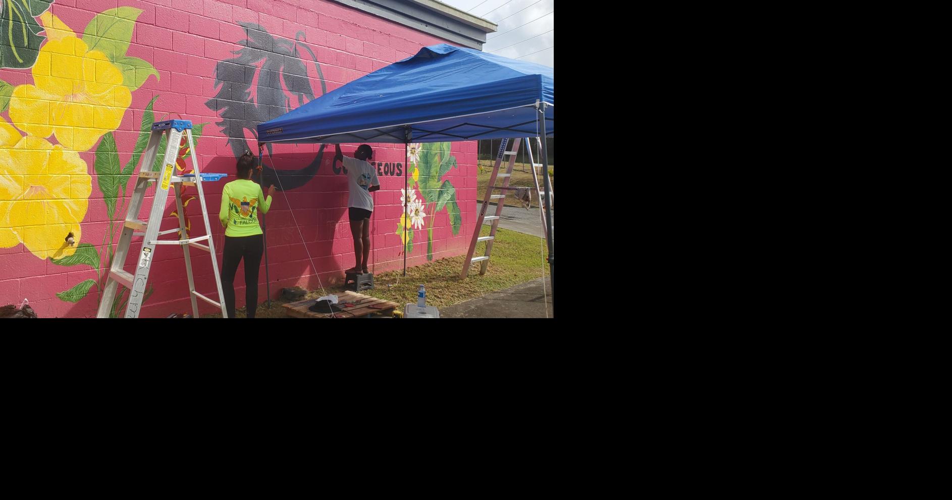 WMA staff helps spruce up St. Croix’s Alfredo Andrews Elementary School ...