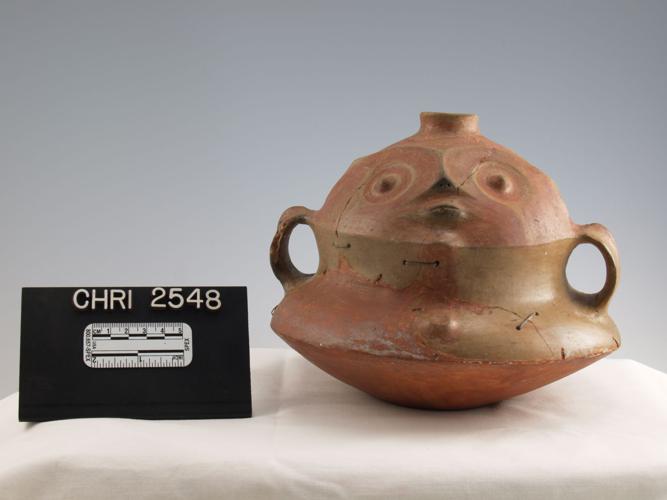 The plowed soil brings up plants and artifacts | News ...