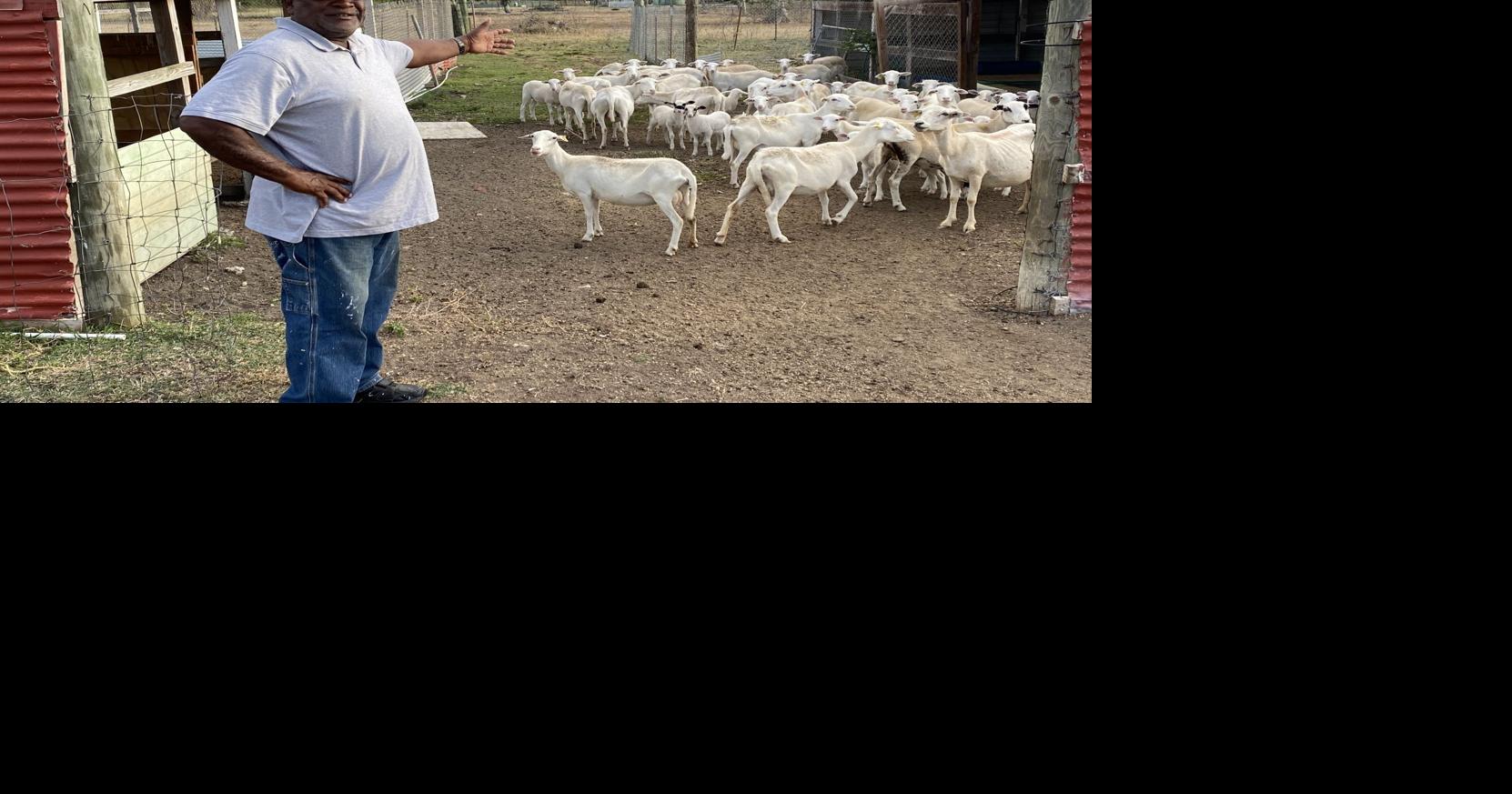 Alphonso James is Livestock Farmer of the Year, calls for return of FFA ...