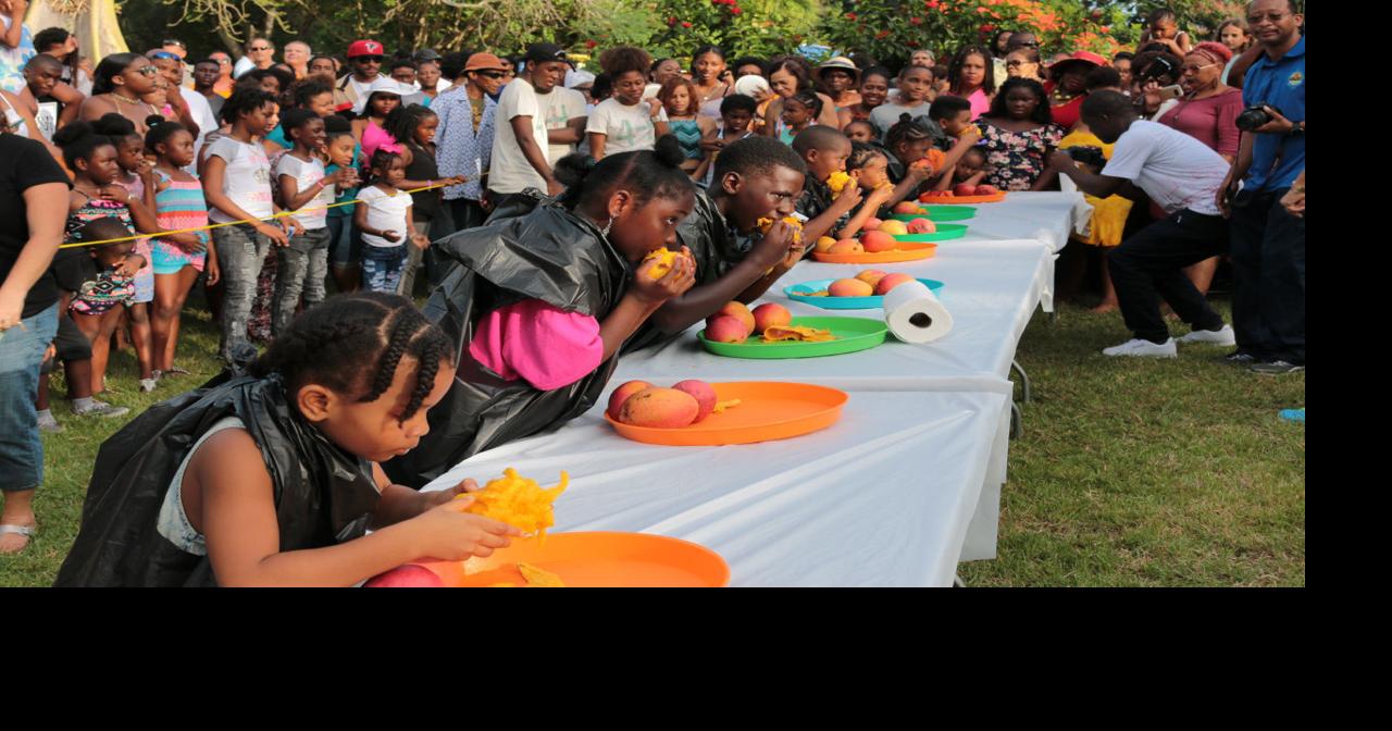 24th annual Mango Melee goes virtual | | virginislandsdailynews.com