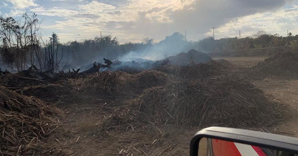 Investigators offer reward for information on suspicious cane field ...