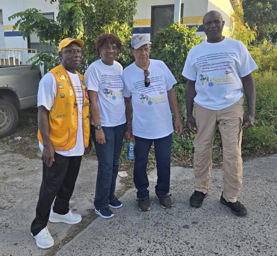 Lions Clubs lead the way as residents walk to raise awareness about ...