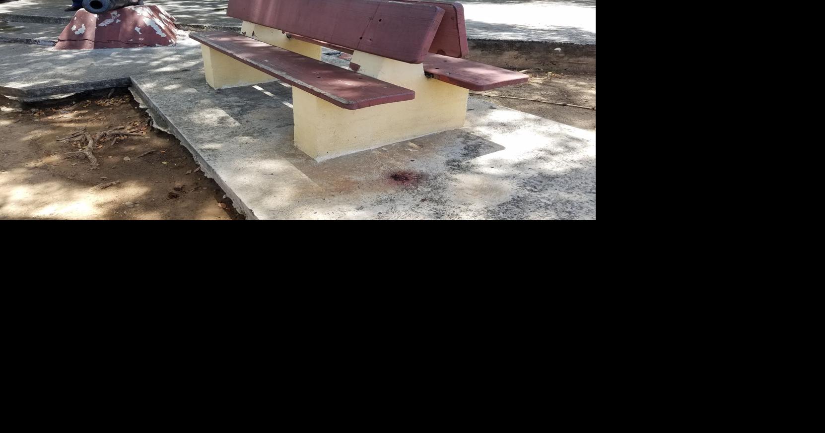 Official details scant in firefighter shooting | News ...