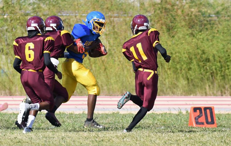 Hawks roll past Devil Rays in season opener | Sports ...