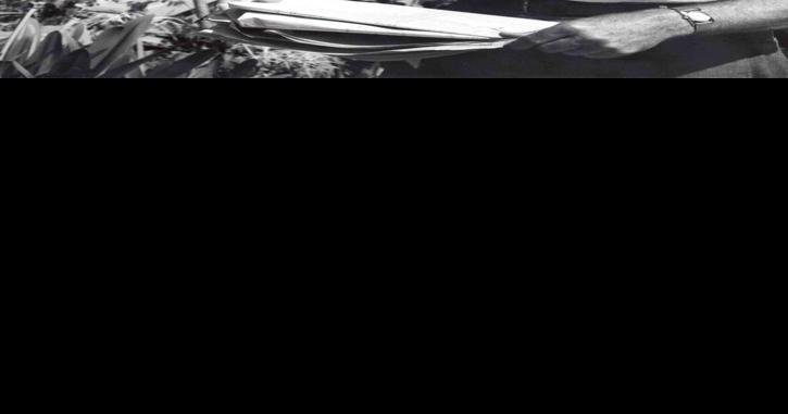 Gary Engle vs. Laurance Rockefeller | Opinion | virginislandsdailynews.com