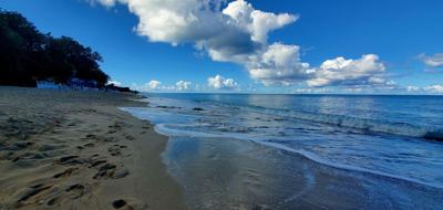 Officials confirm swimmer at Dorsch Beach was victim of shark bite ...